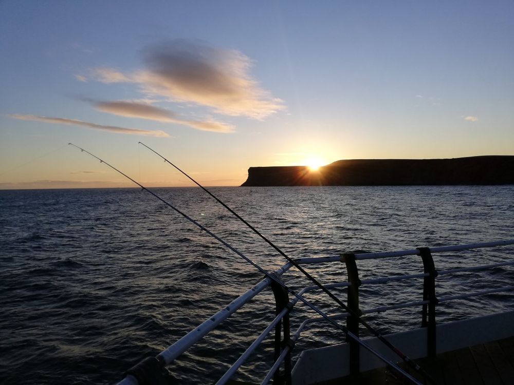 From Pier to Park: The Ultimate List of Things To Do In Saltburn