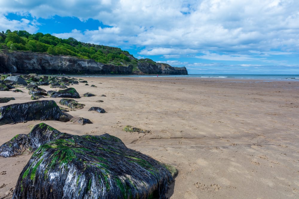Things to Do in Runswick Bay: A Visitor's Guide to Coastal Adventures