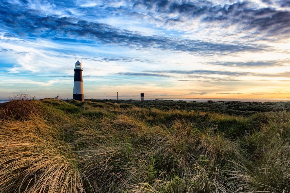 Spurn Point Nature Reserve Walk