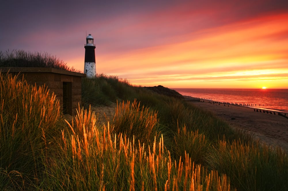 Spurn Point Nature Reserve Walk