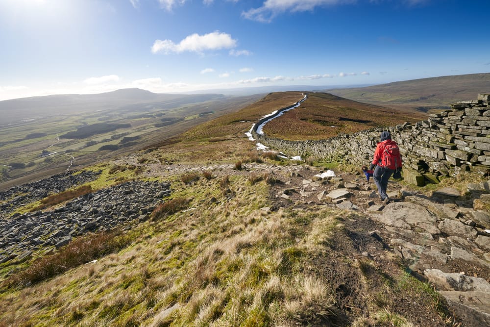 Whernside Walk