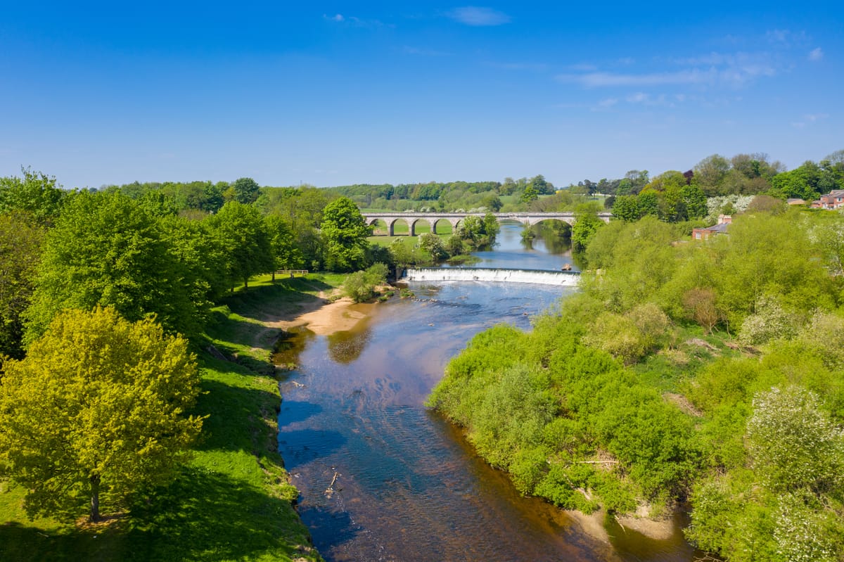 Things to Do in Tadcaster: From Riverside Walks to Historic Pubs