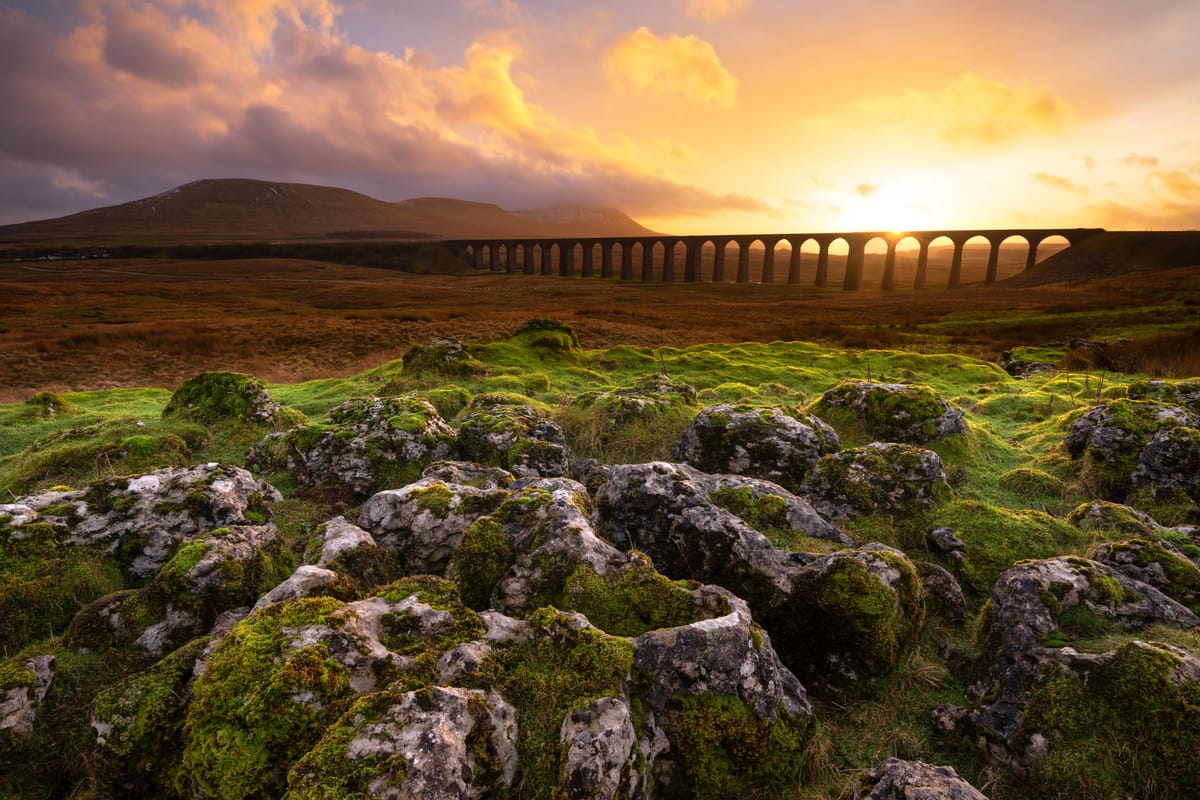 Things to Do in Settle: Your Ultimate Guide to Exploring This Charming ...