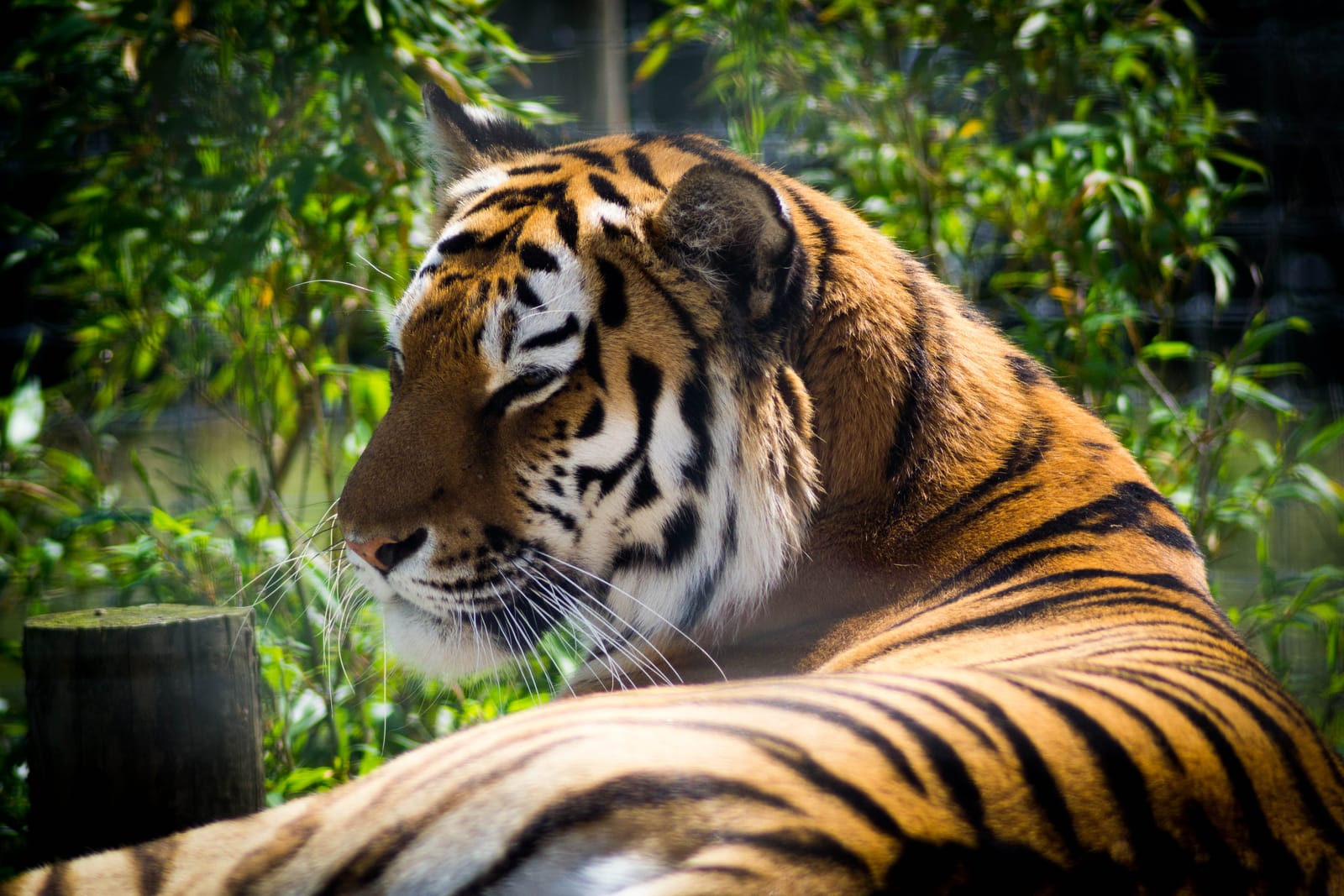 Things to Do in Doncaster: Insider Tips & Essential Stops