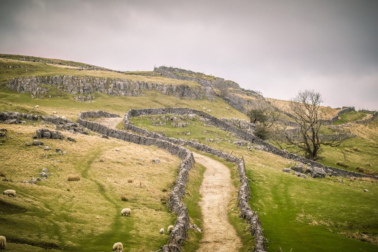 Things to Do In Hawes: Exploring On & Off The Beaten Path