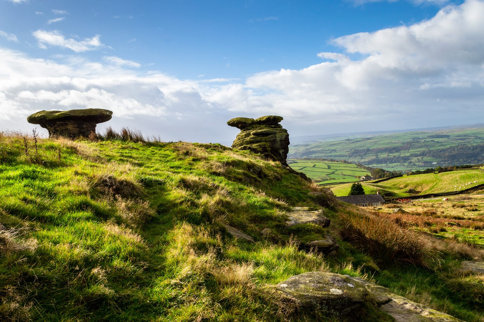 Things to Do in Ilkley: Ancient Stones to Riverside Strolls
