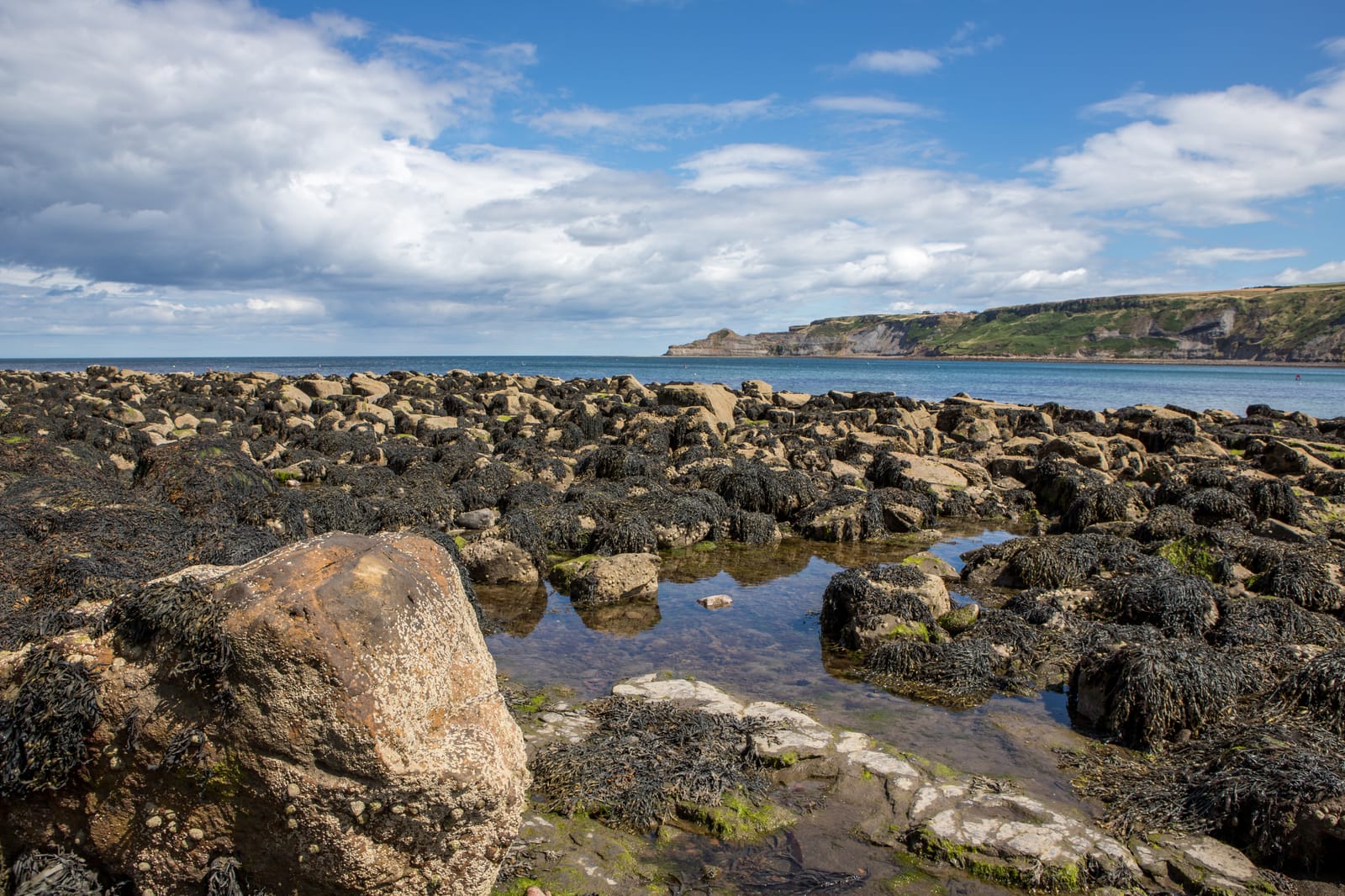 Things to Do in Runswick Bay: A Visitor's Guide to Coastal Adventures