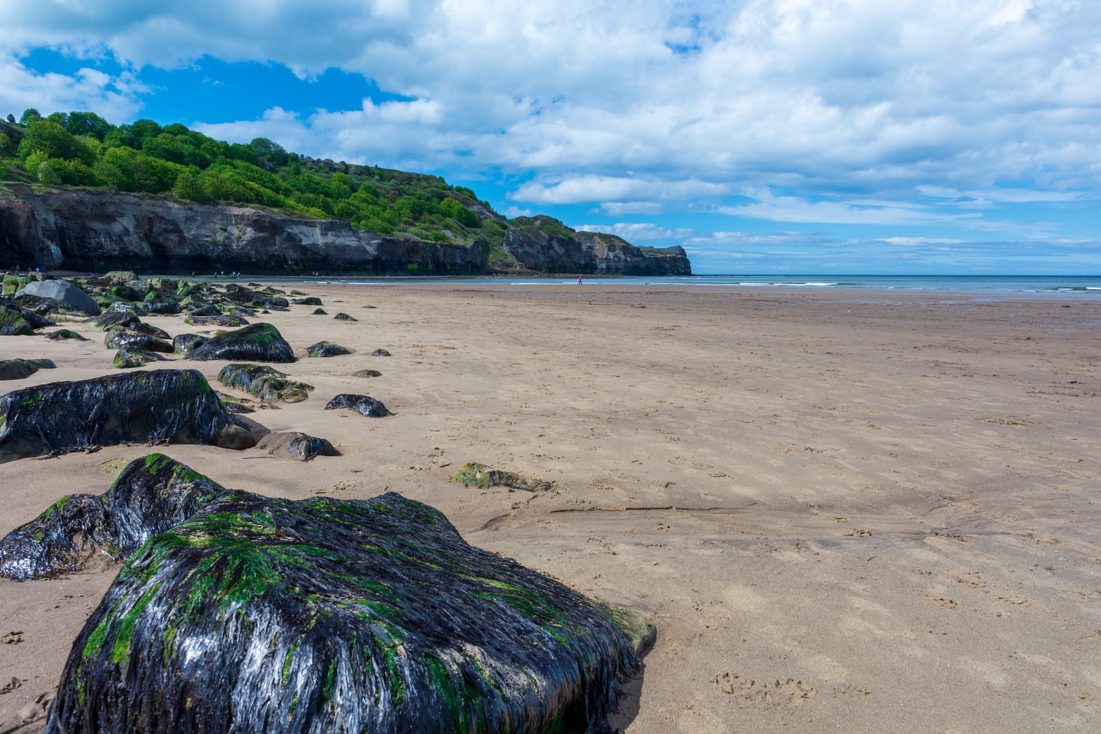 Things to Do in Runswick Bay: A Visitor's Guide to Coastal Adventures