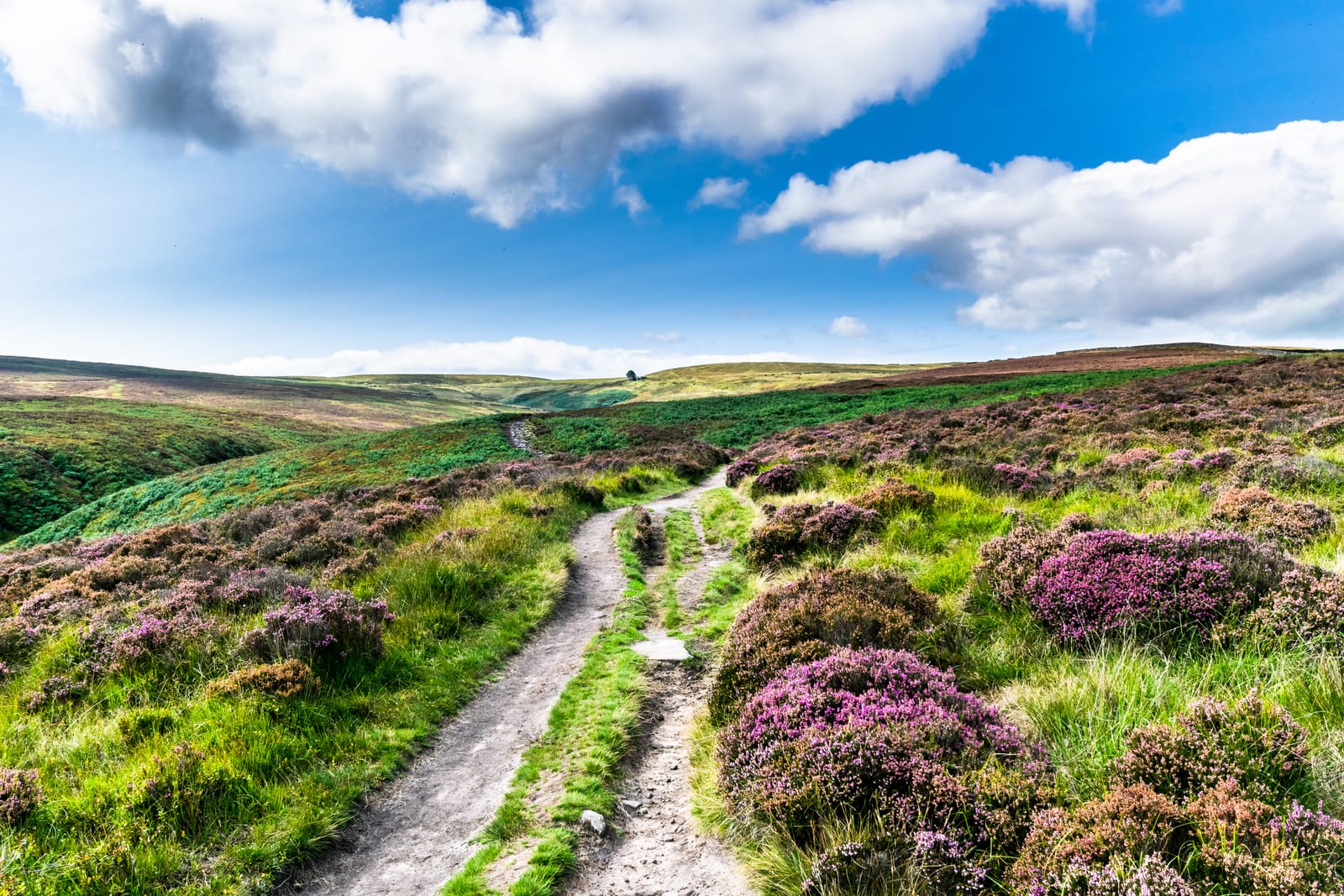 Things to Do in Haworth: Uncovering Brontë Country's Hidden Gems