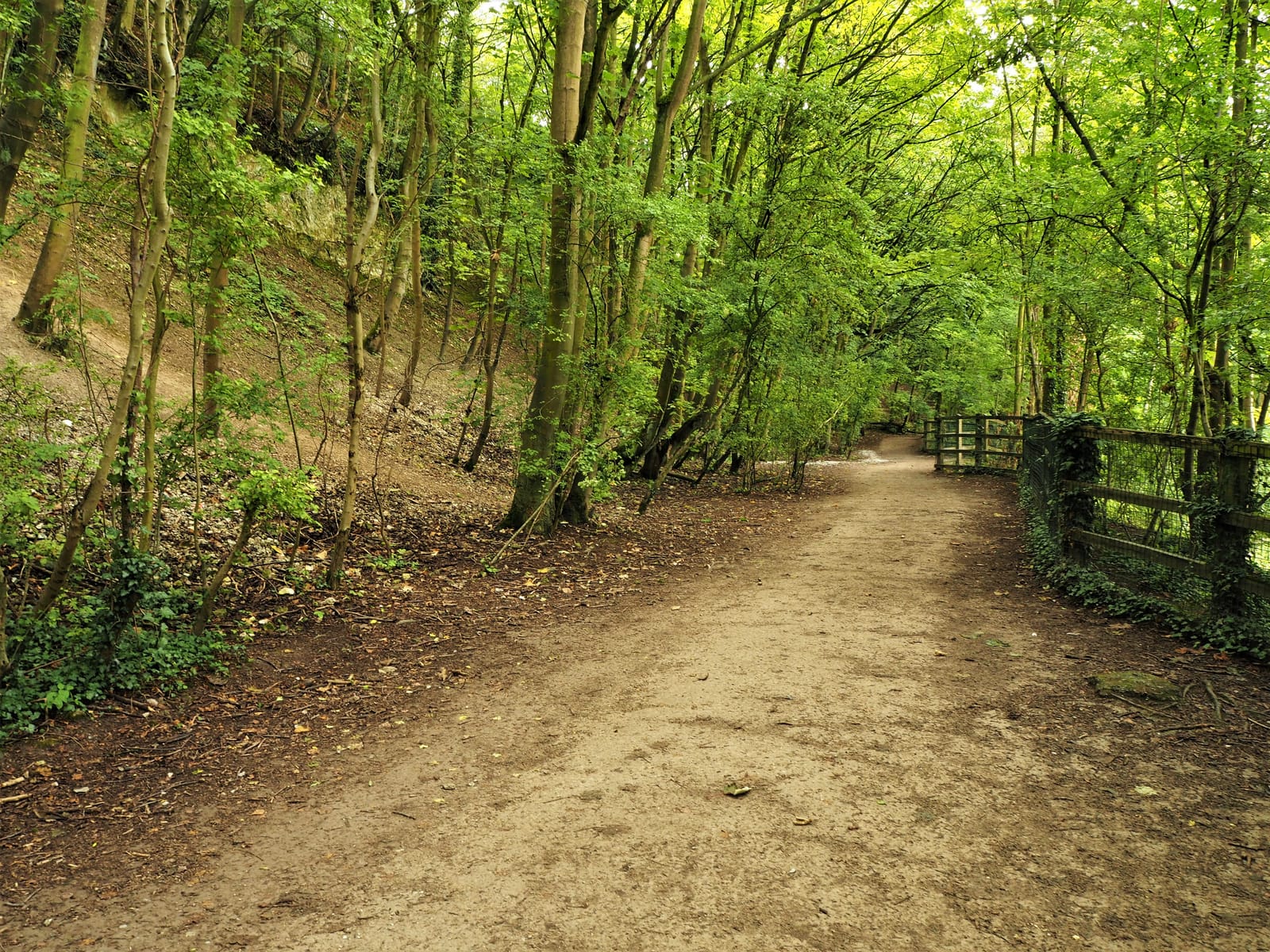 Humber Bridge Country Park Walk
