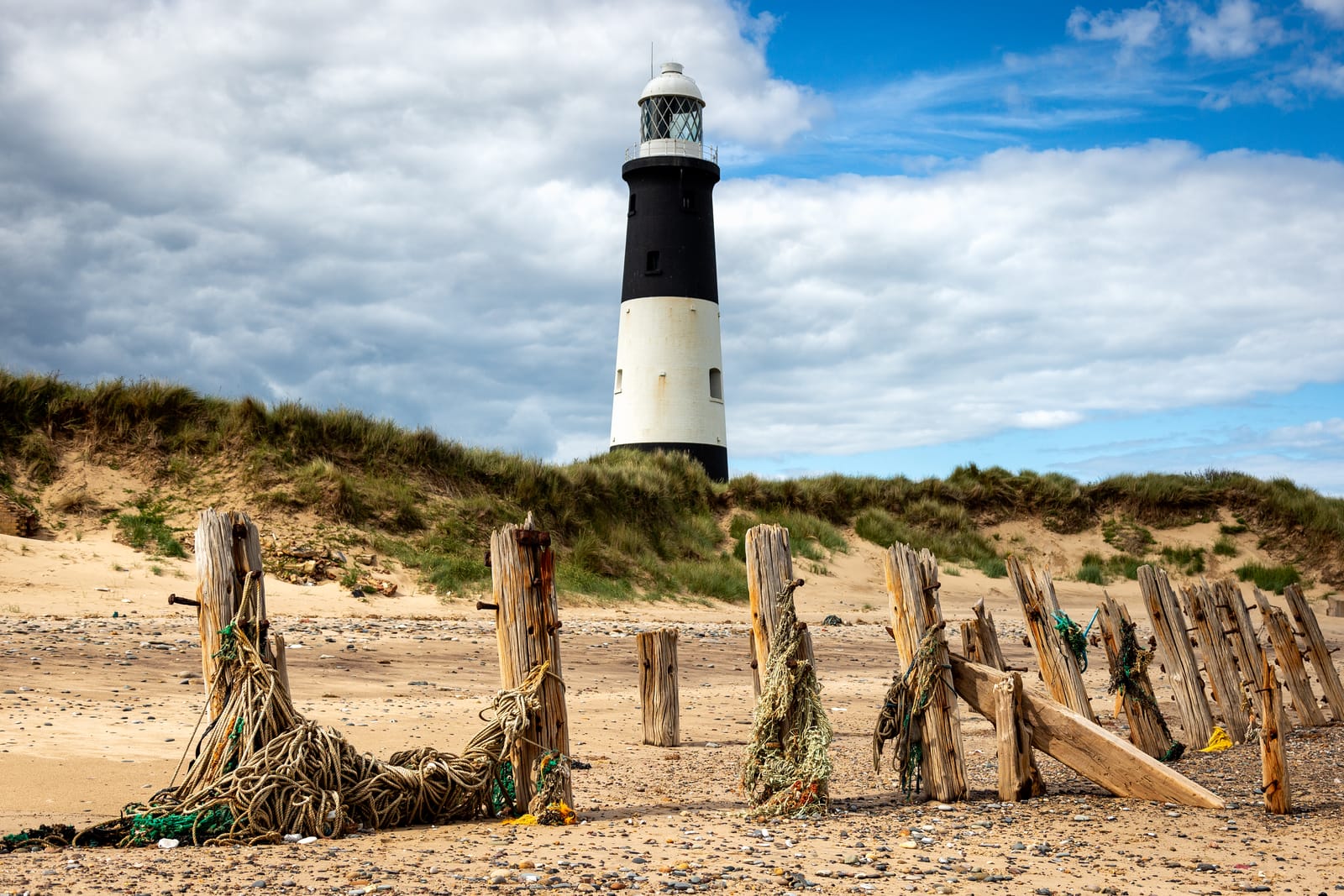 Spurn Point Nature Reserve Walk