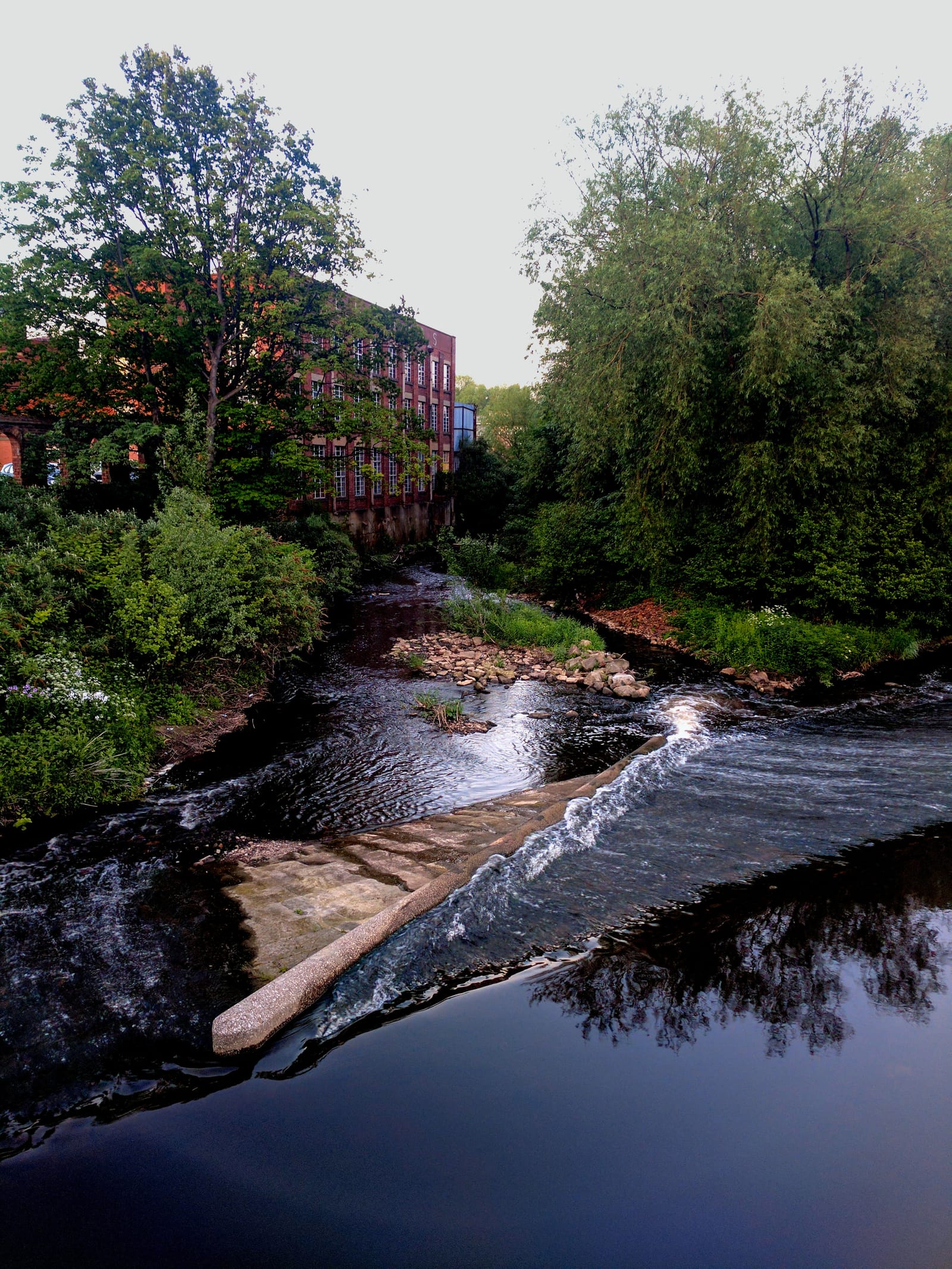 The Five Weirs Walk