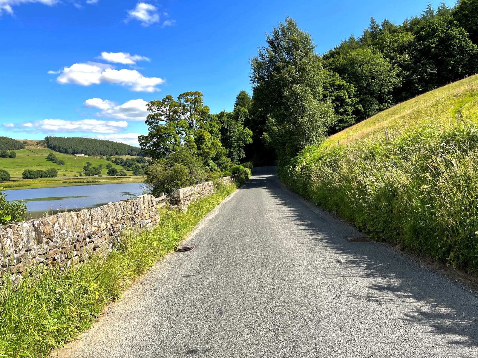 Pateley Bridge Walks: Scenic Routes Through Nidderdale