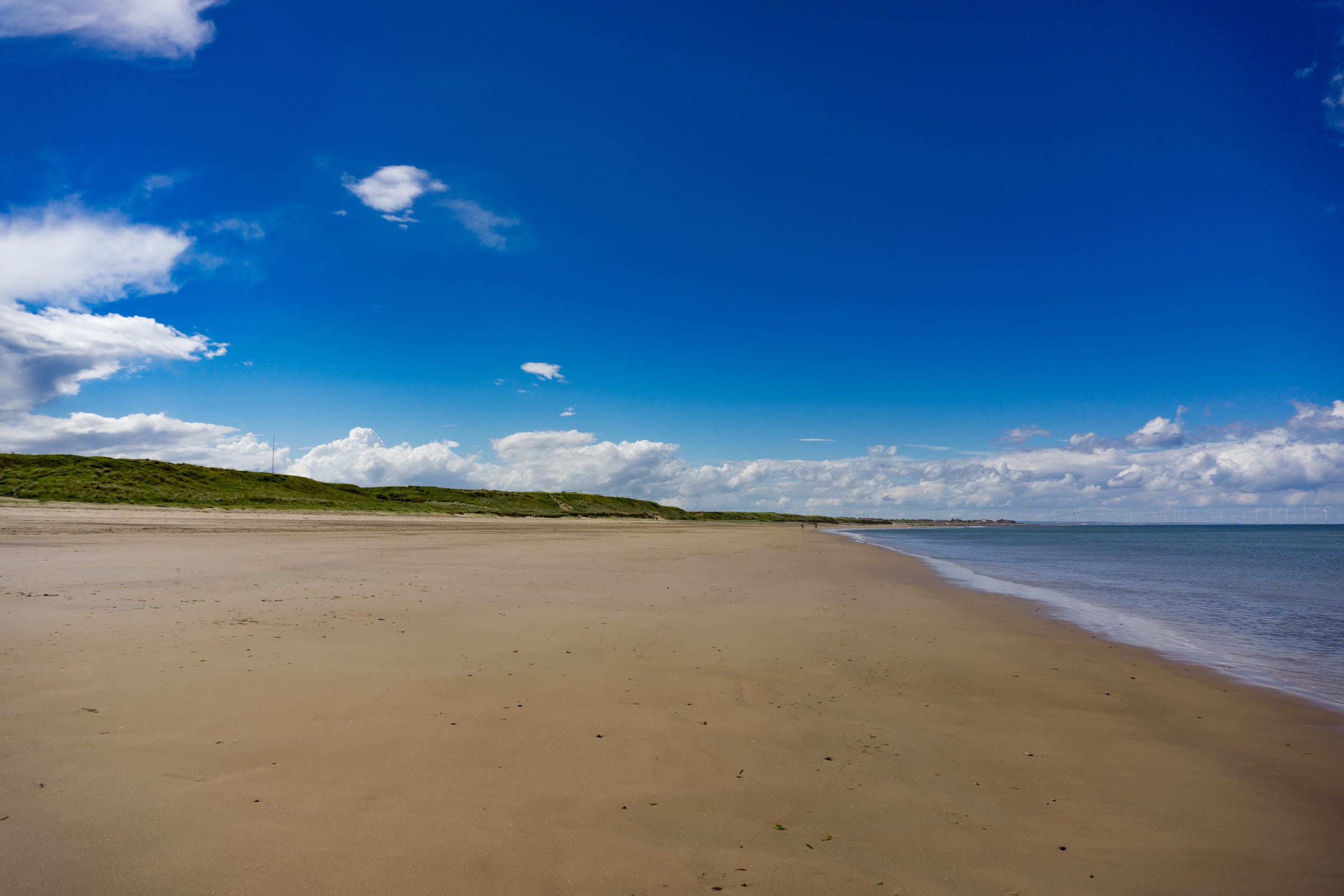 From Pier to Park: The Ultimate List of Things To Do In Saltburn