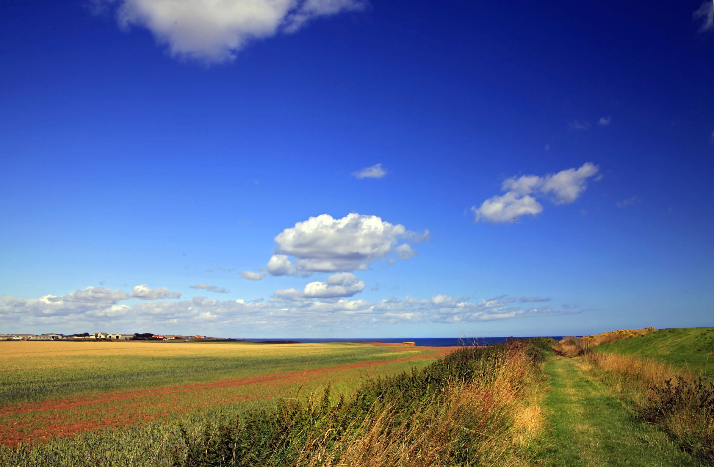 Things To Do In Withernsea: From Sandy Beaches To Quaint Cafes