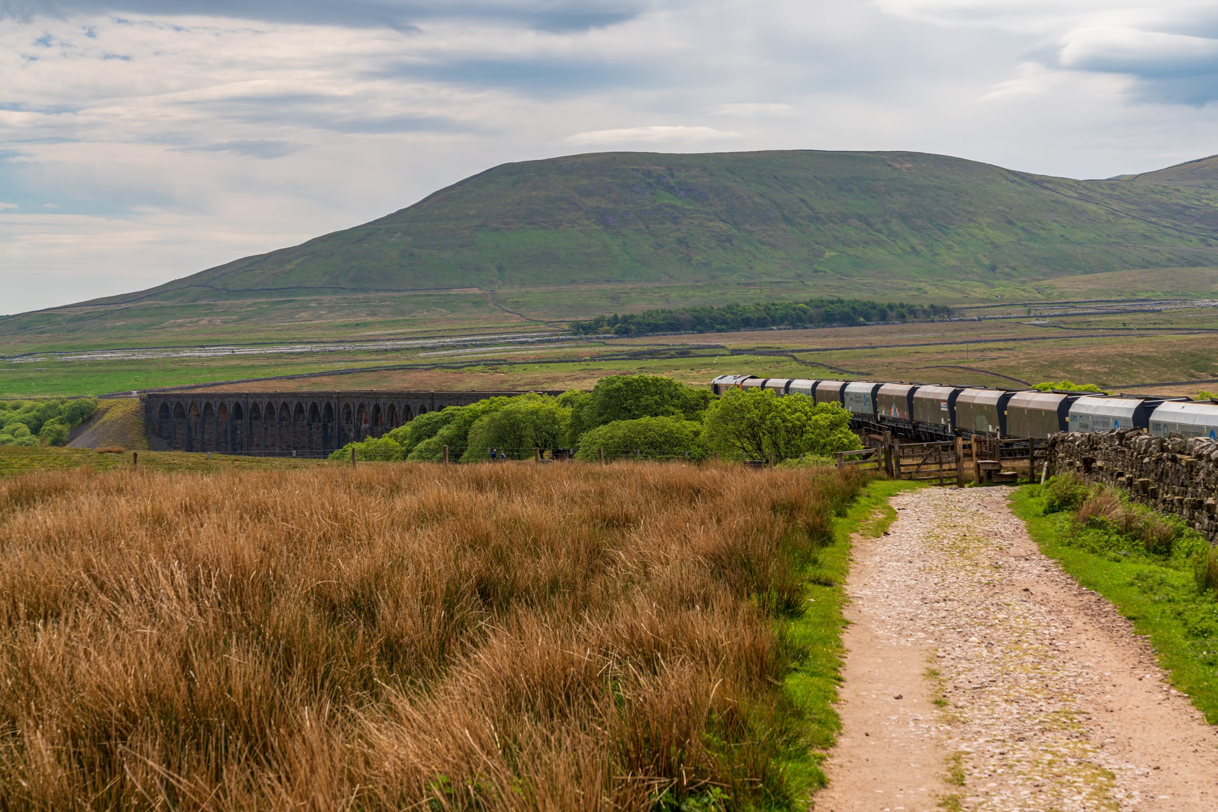 Ribblehead Viaduct Walk