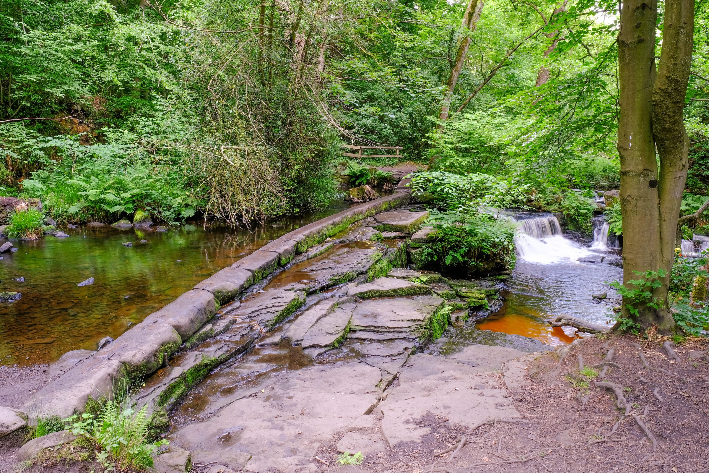 Rivelin Valley Nature Trail