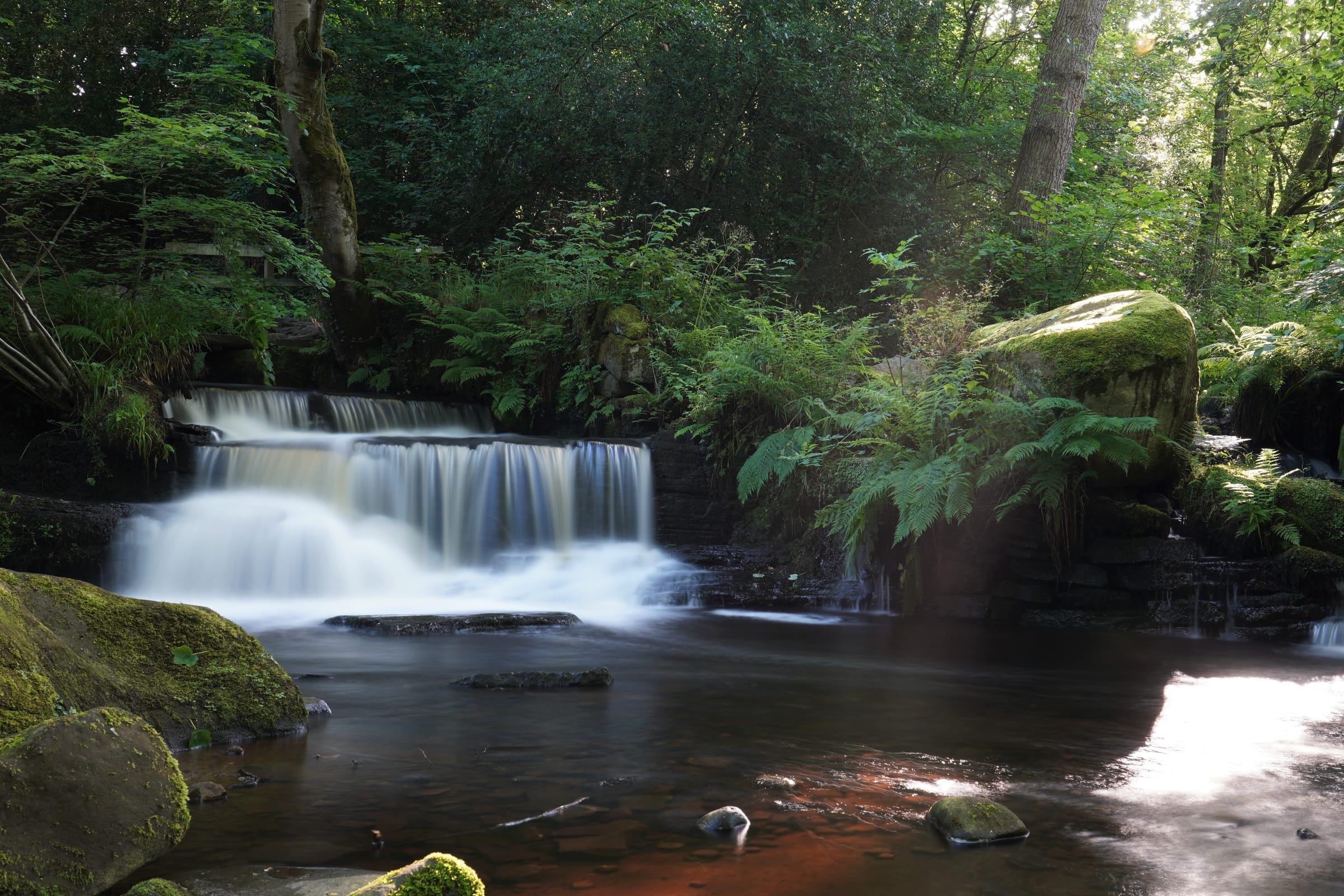 Rivelin Valley Nature Trail