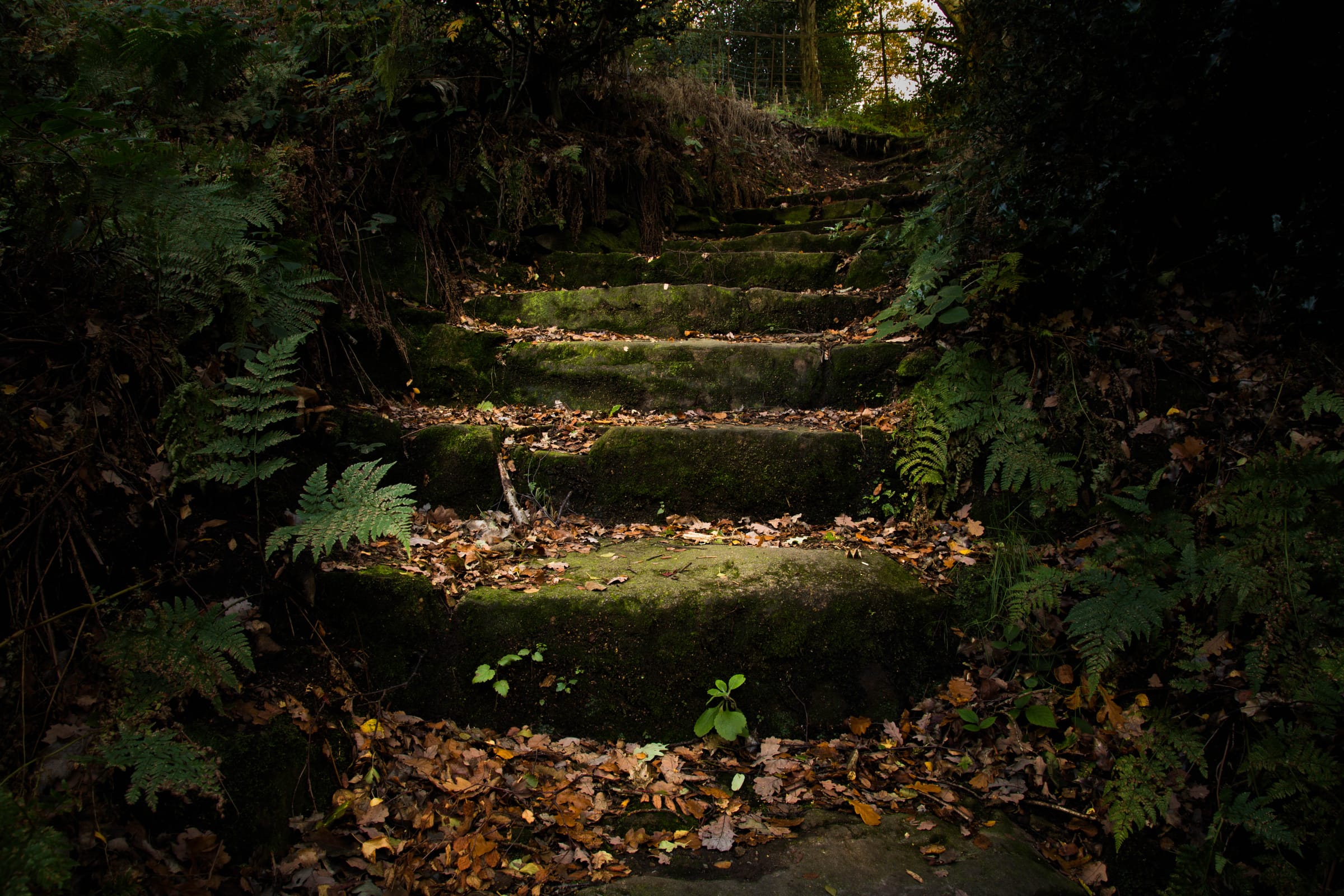 Rivelin Valley Nature Trail