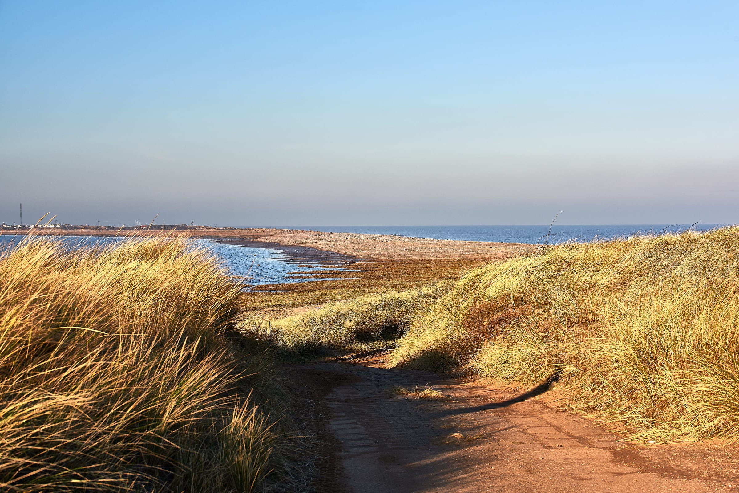 Spurn Point Nature Reserve Walk