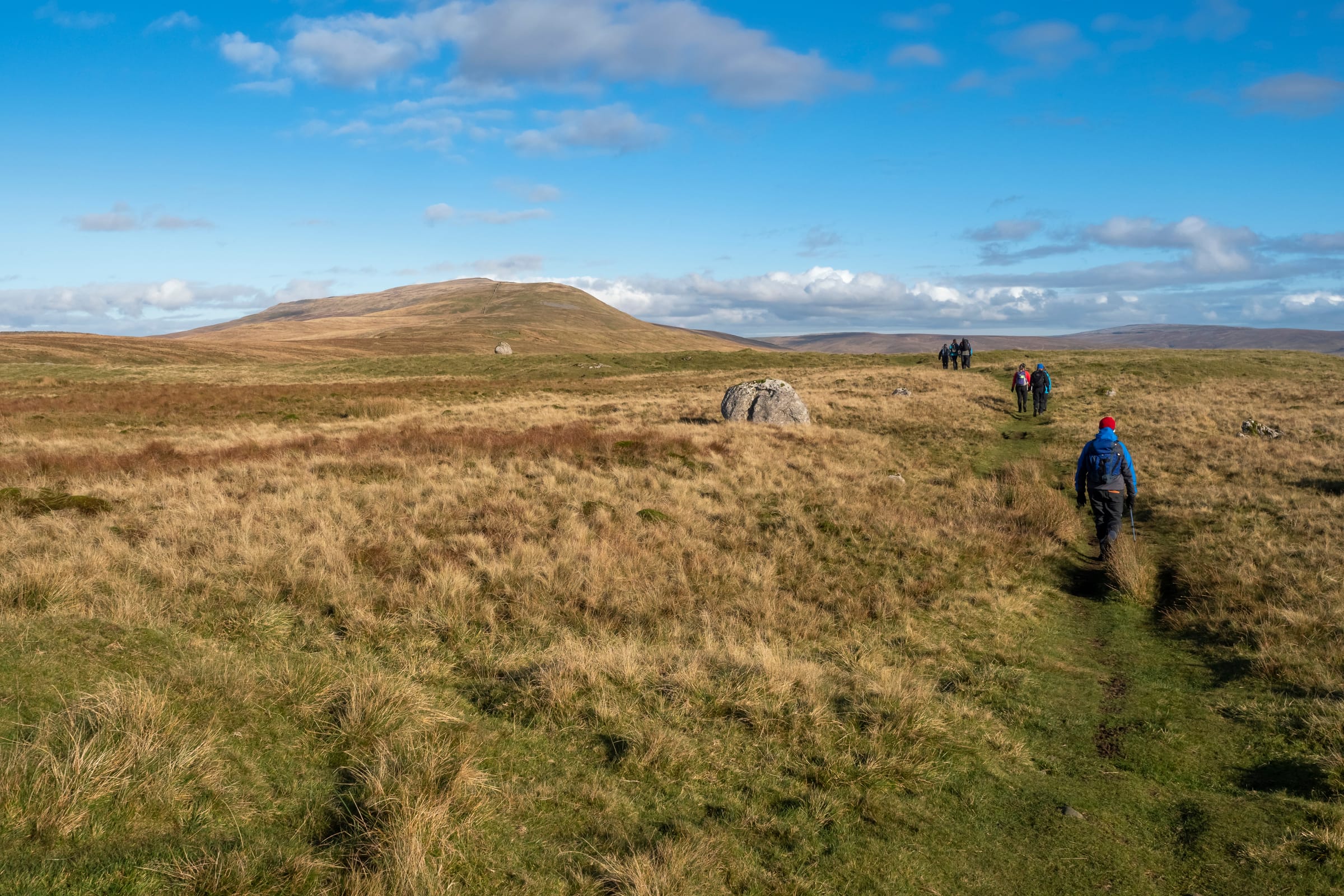 Whernside Walk