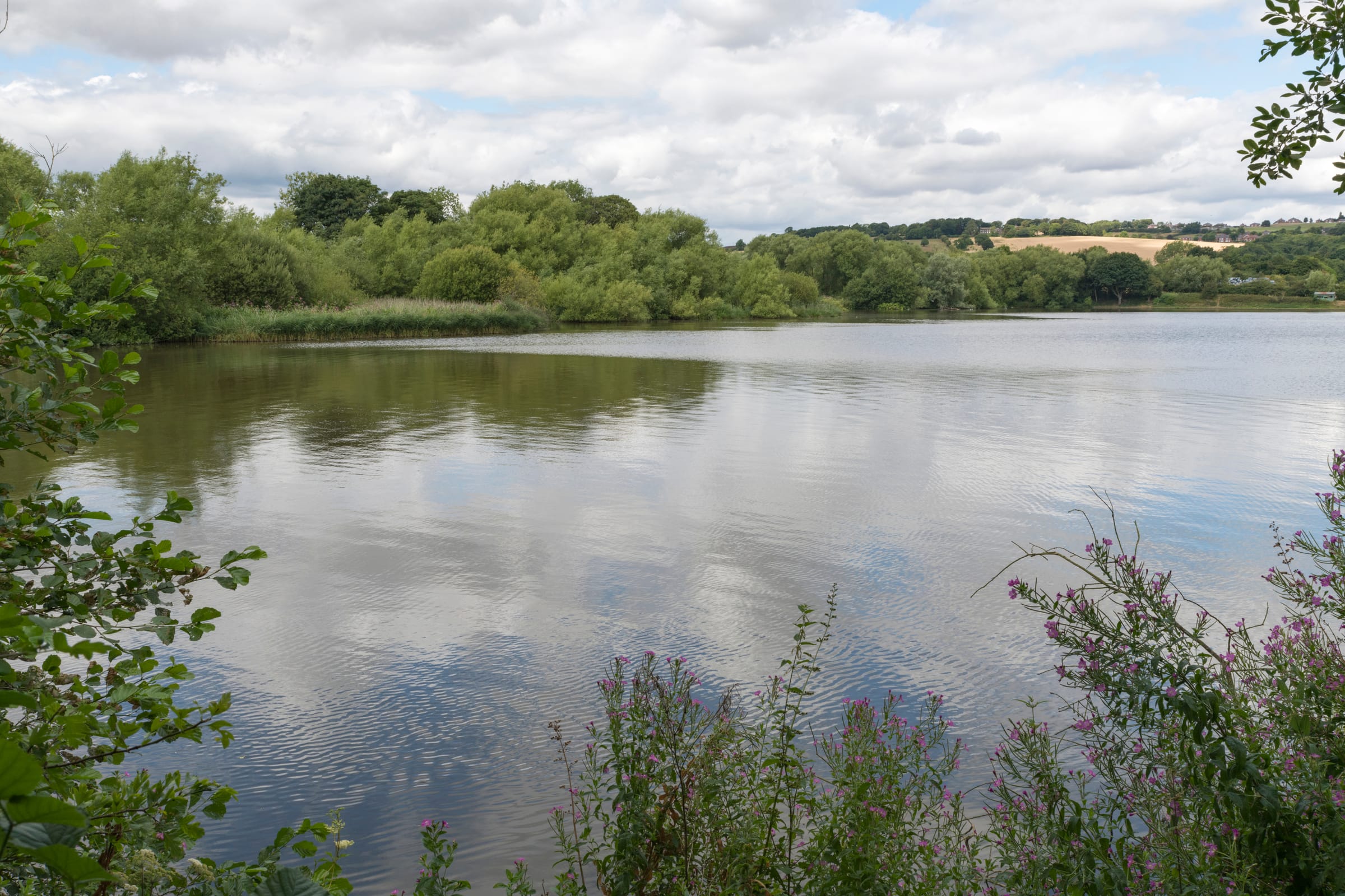 Worsbrough Mill & Country Park Walk