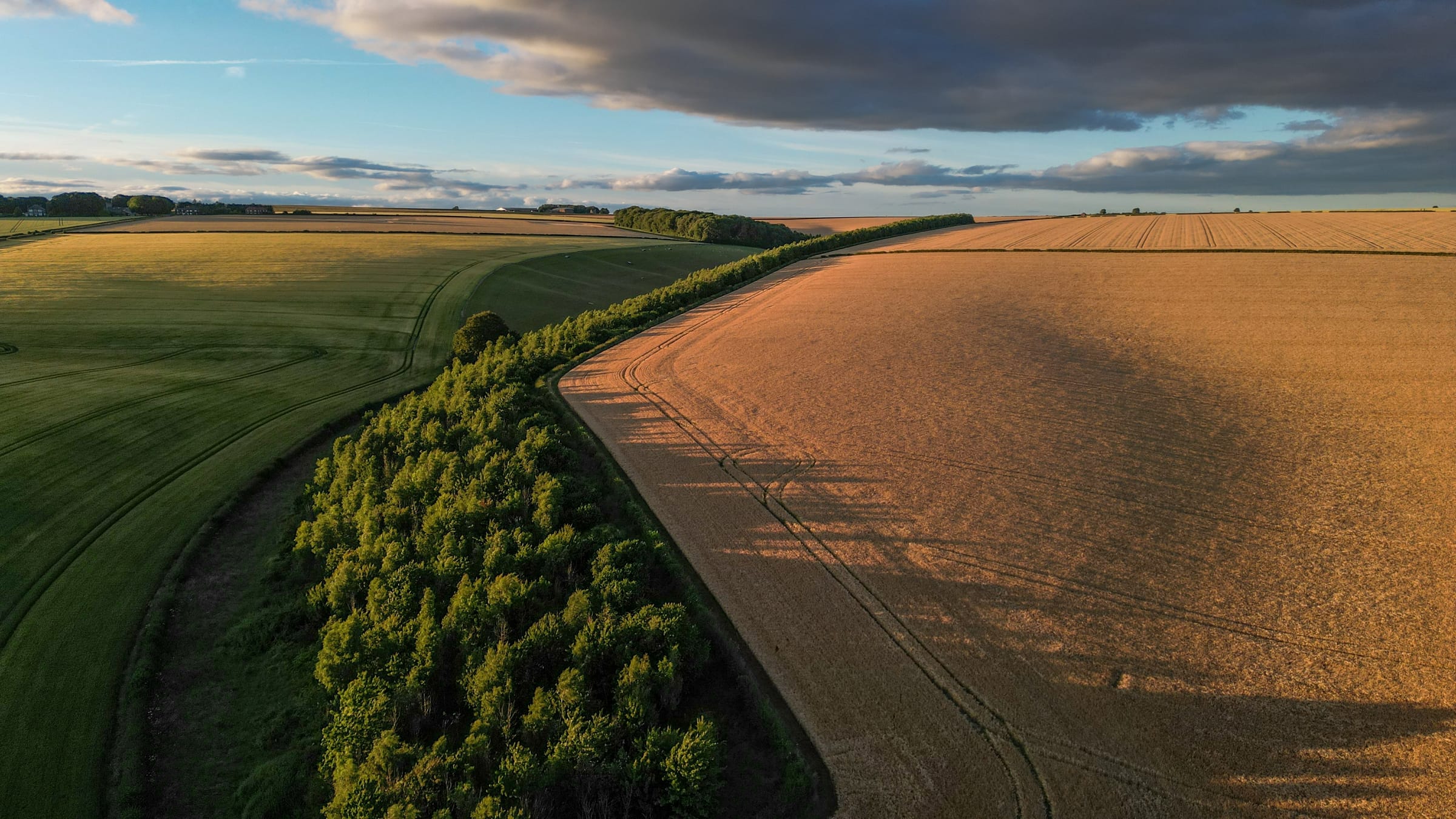 10 Circular Walks In East Yorkshire