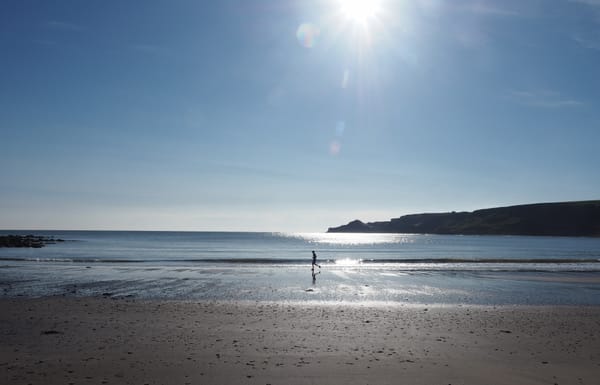 Things to Do in Runswick Bay: A Visitor's Guide to Coastal Adventures
