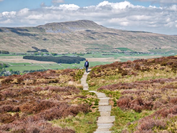 Whernside Walk
